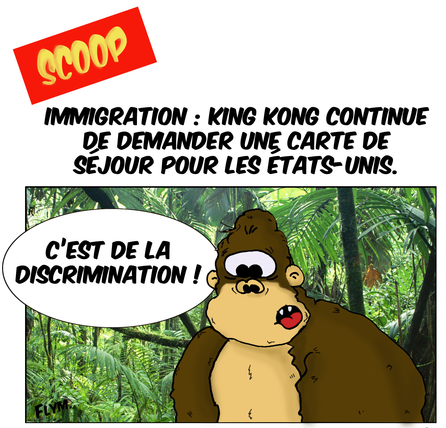 Scoop - Flym, dessin d'humour, blog bd humour, humour noir